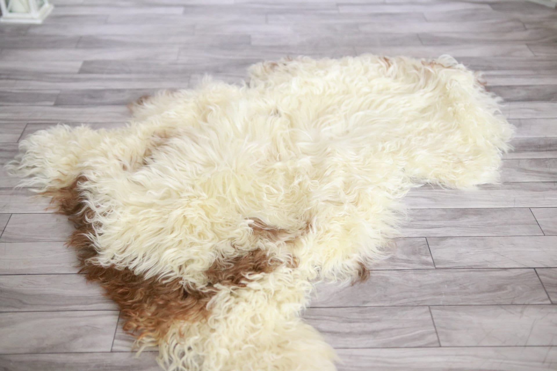 Genuine Rare Tuscan Lamb Sheepskin Rug - Curly Fur Rug - Natural ...