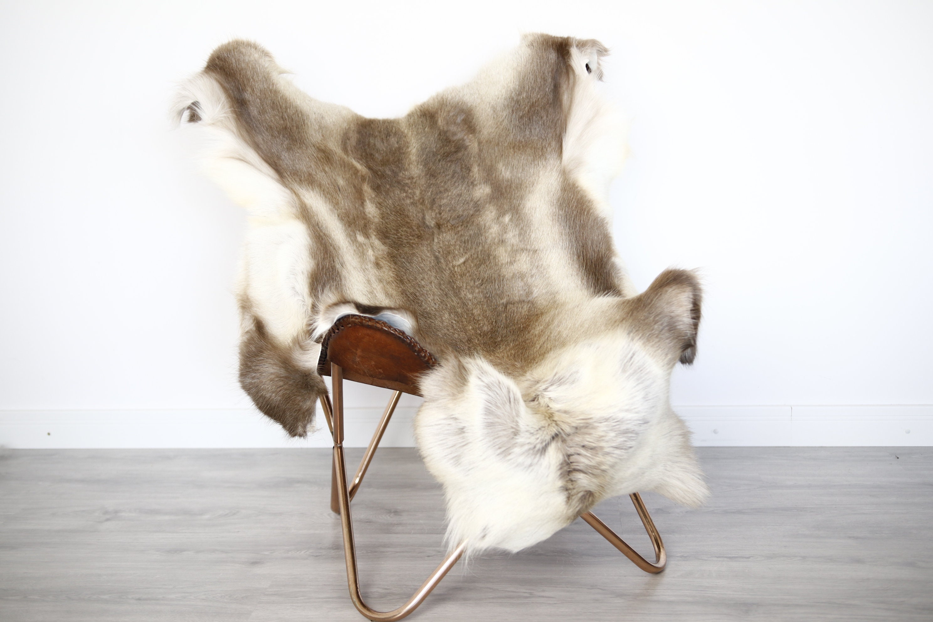 Reindeer Hide | Reindeer Rug | Reindeer Skin | Throw XXL EXTRA LARGE ...