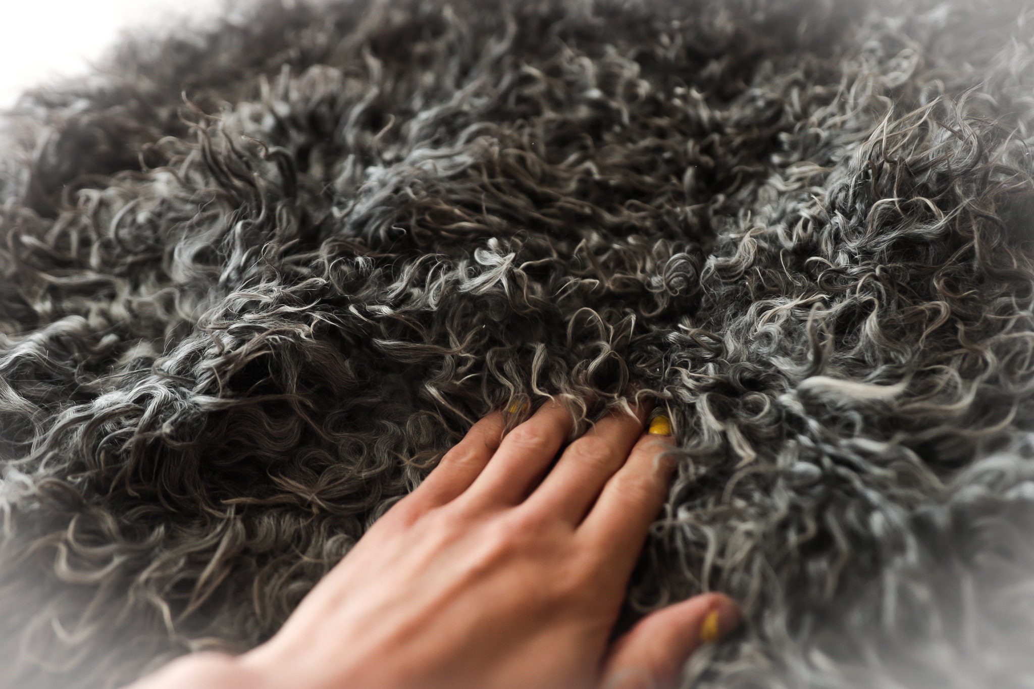 Real Sheepskin Rug Genuine Rare Gotland Sheepskin Rus - Curly Fur Rug ...