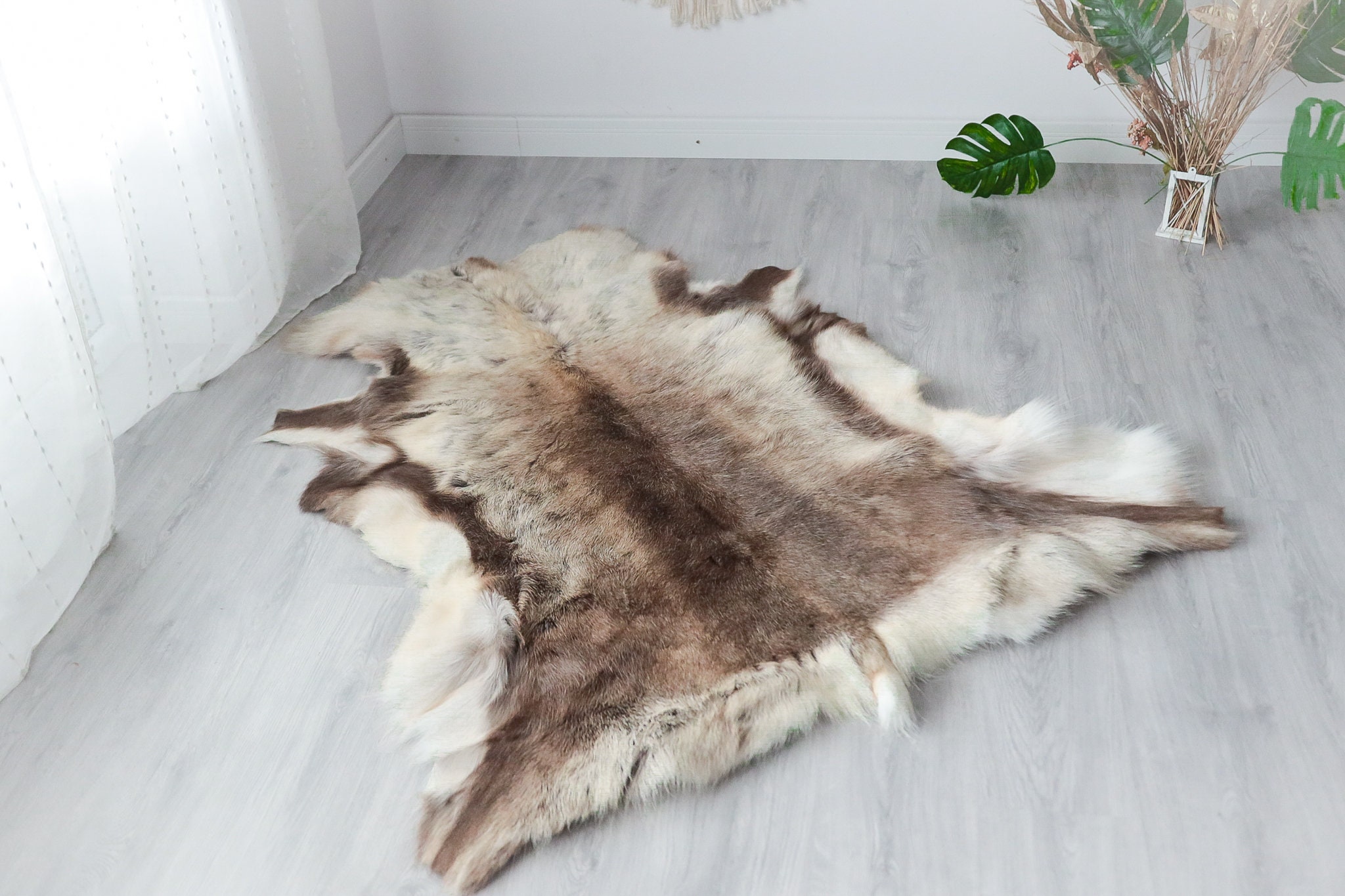 Reindeer Hide | Reindeer Rug | Reindeer Skin | Throw XXL EXTRA LARGE ...