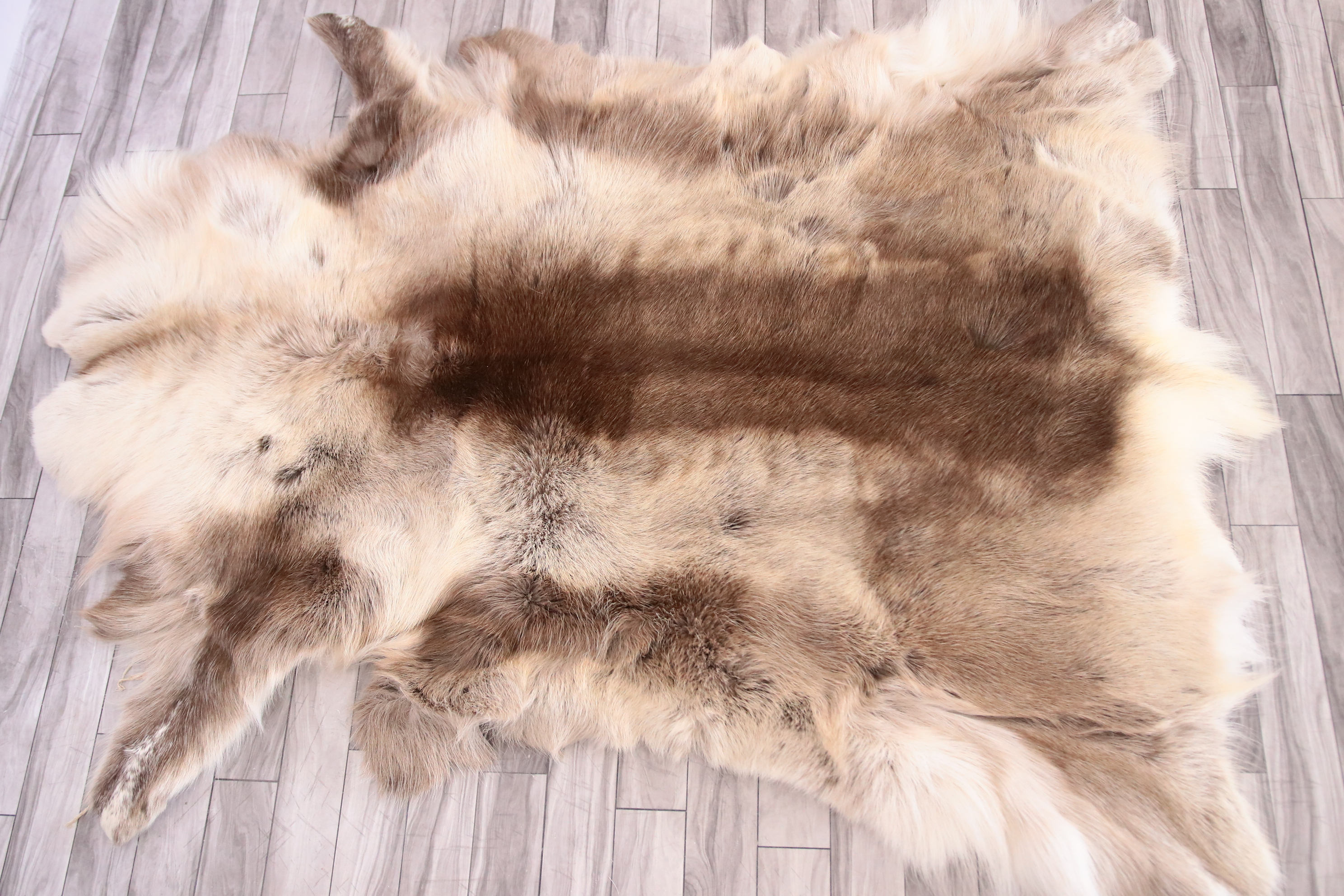 Reindeer Hide | Reindeer Rug | Reindeer Skin | Throw XL EXTTRA LARGE ...
