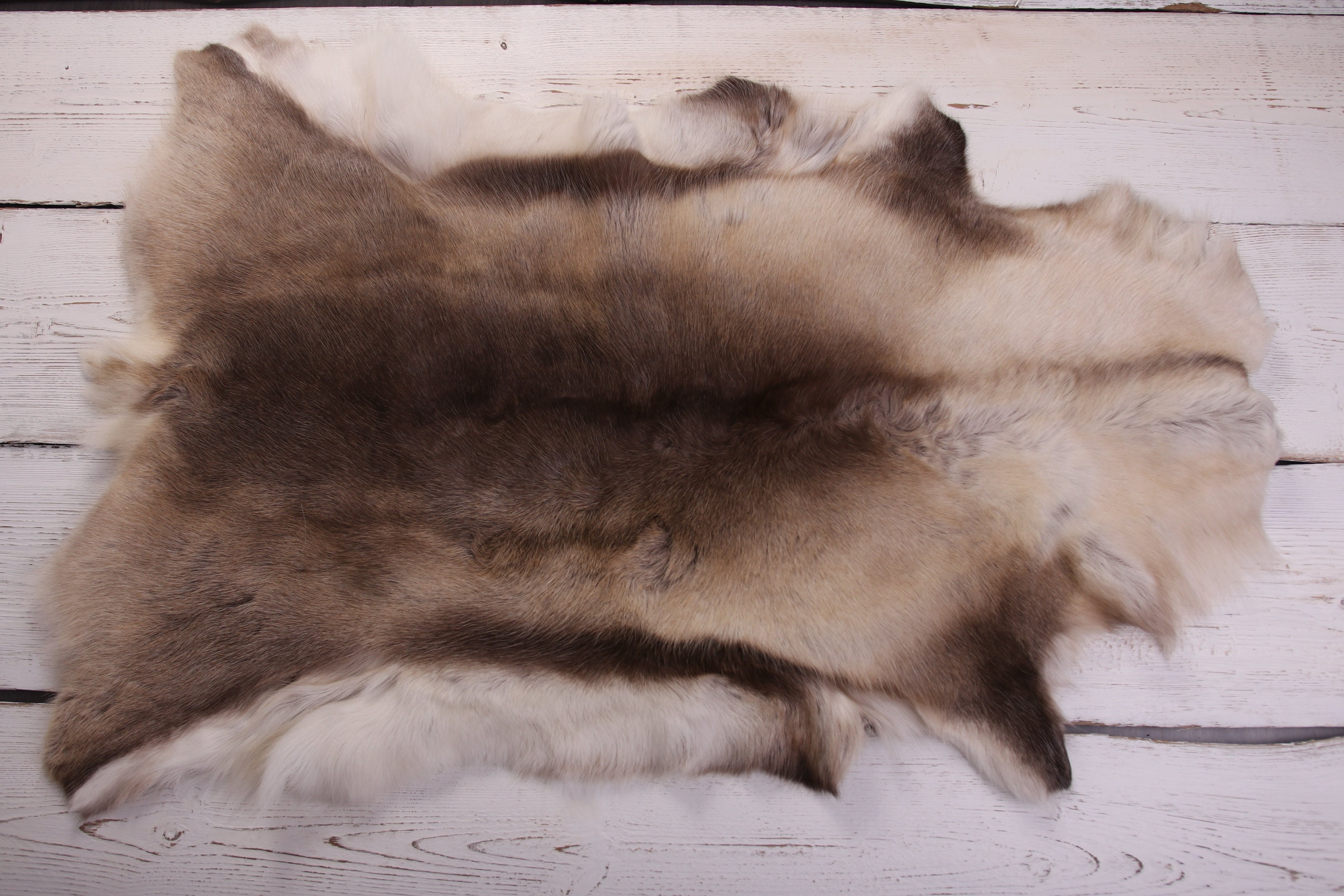 Reindeer Hide | Reindeer Rug | Reindeer Skin | Throw XXL EXTRA LARGE ...