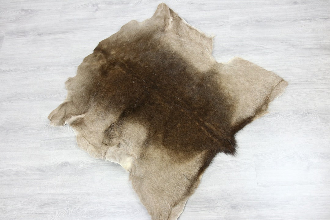 Deer Hide | Deer Rug | Deer Skin | Throw L Large - Scandinavian Style ...