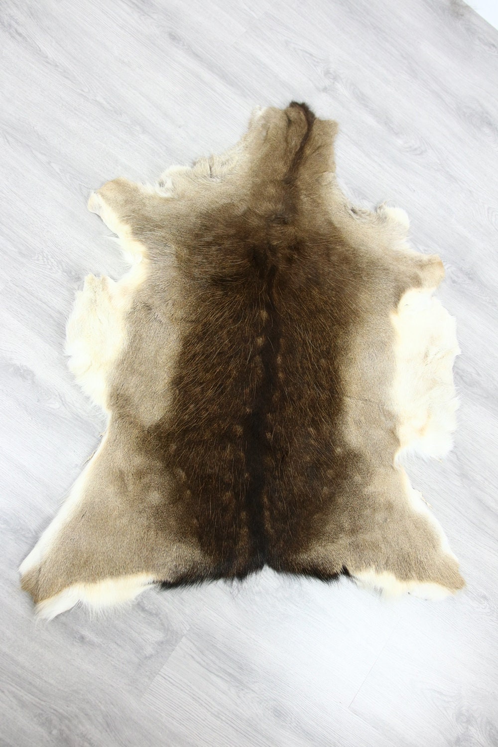 Deer Hide | Deer Rug | Deer Skin | Throw L Large - Scandinavian Style ...