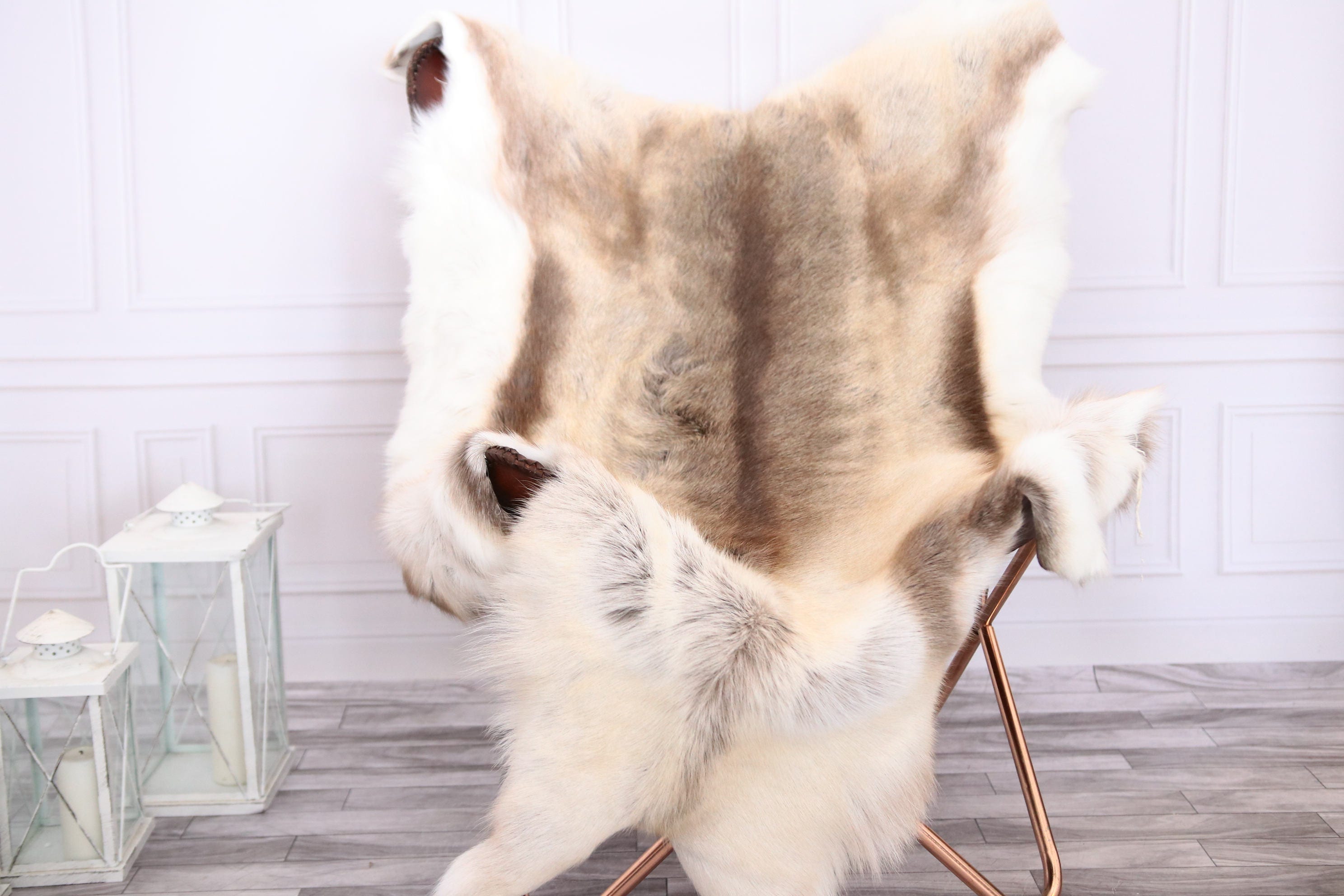 Reindeer Hide | Reindeer Rug | Reindeer Skin | Throw XL LARGE ...