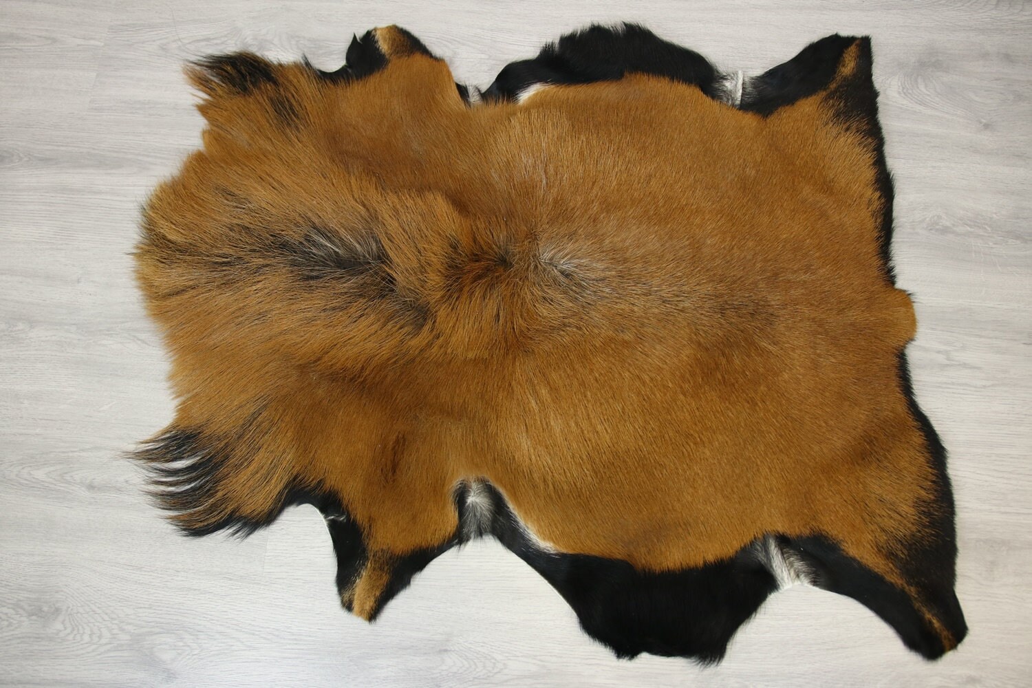 Natural real Goatskin rug, Goat Hide Goat Rug Beige Brown #Goat23