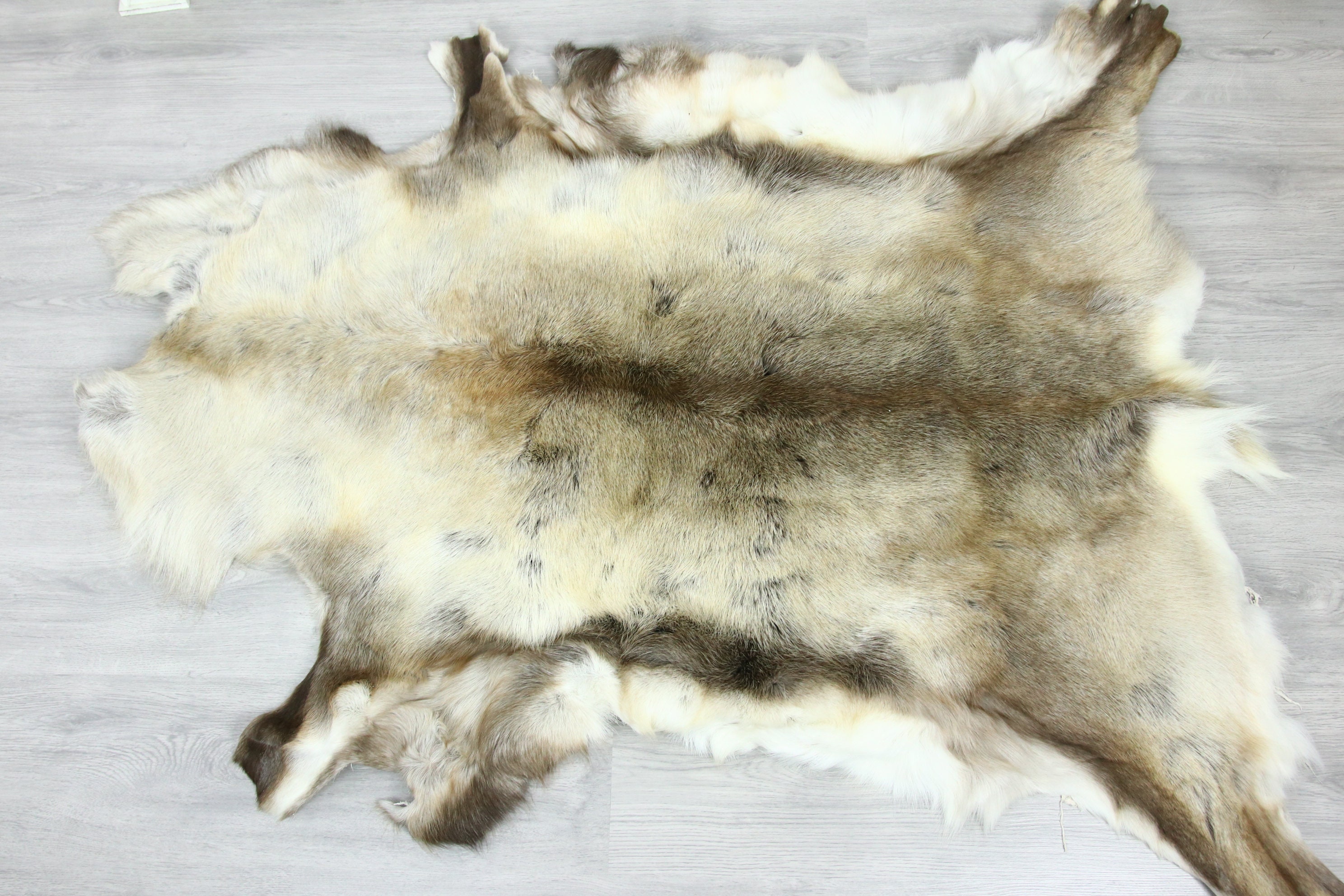 Reindeer Hide | Reindeer Rug | Reindeer Skin | Throw - Scandinavian ...
