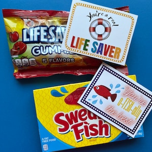 INSTANT DOWNLOAD Thank You Candy Grams Appreciation Printables Tags ...