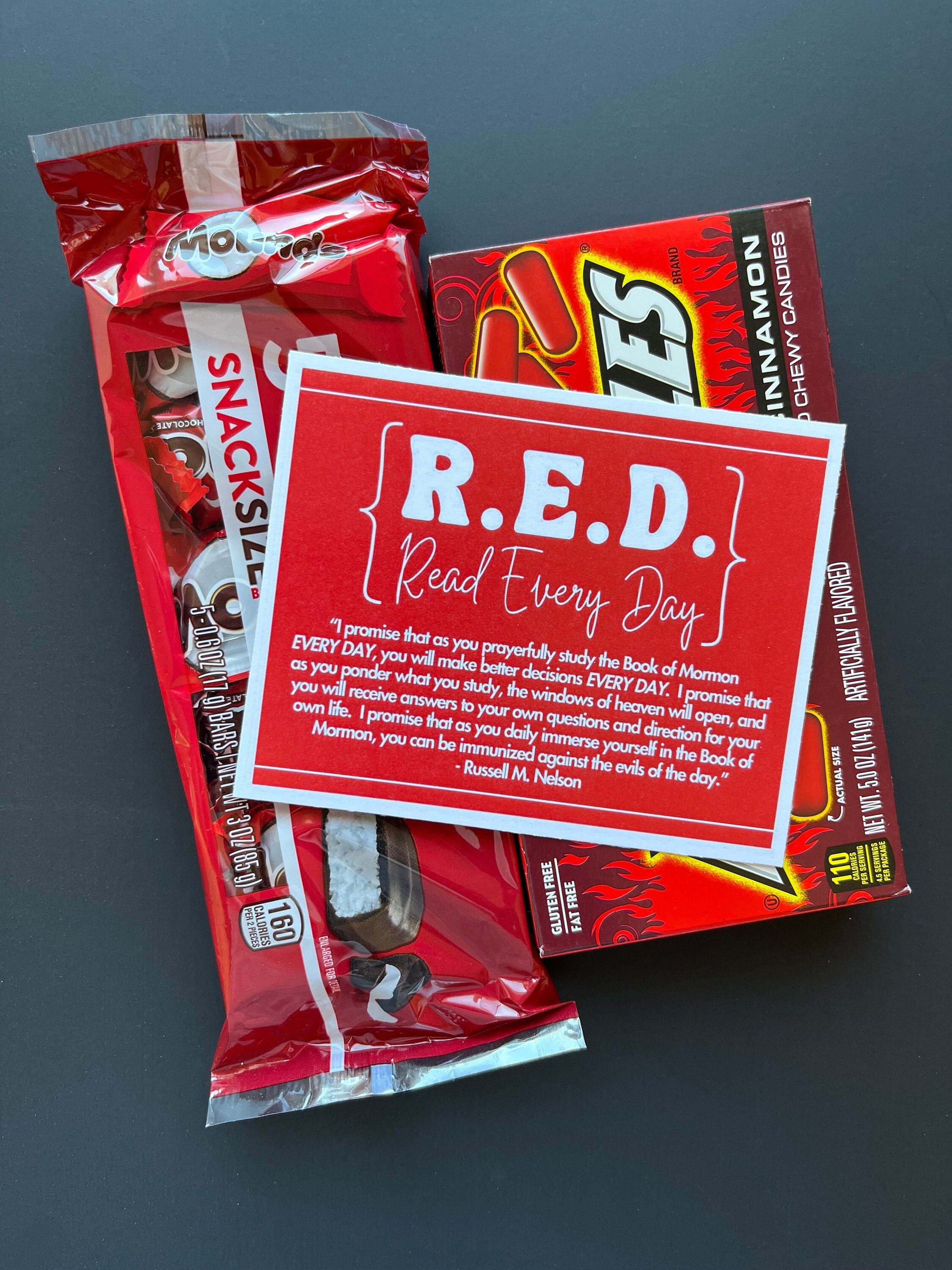 INSTANT DOWNLOAD RED Tags Read Every Day Book of Mormon Scriptures ...