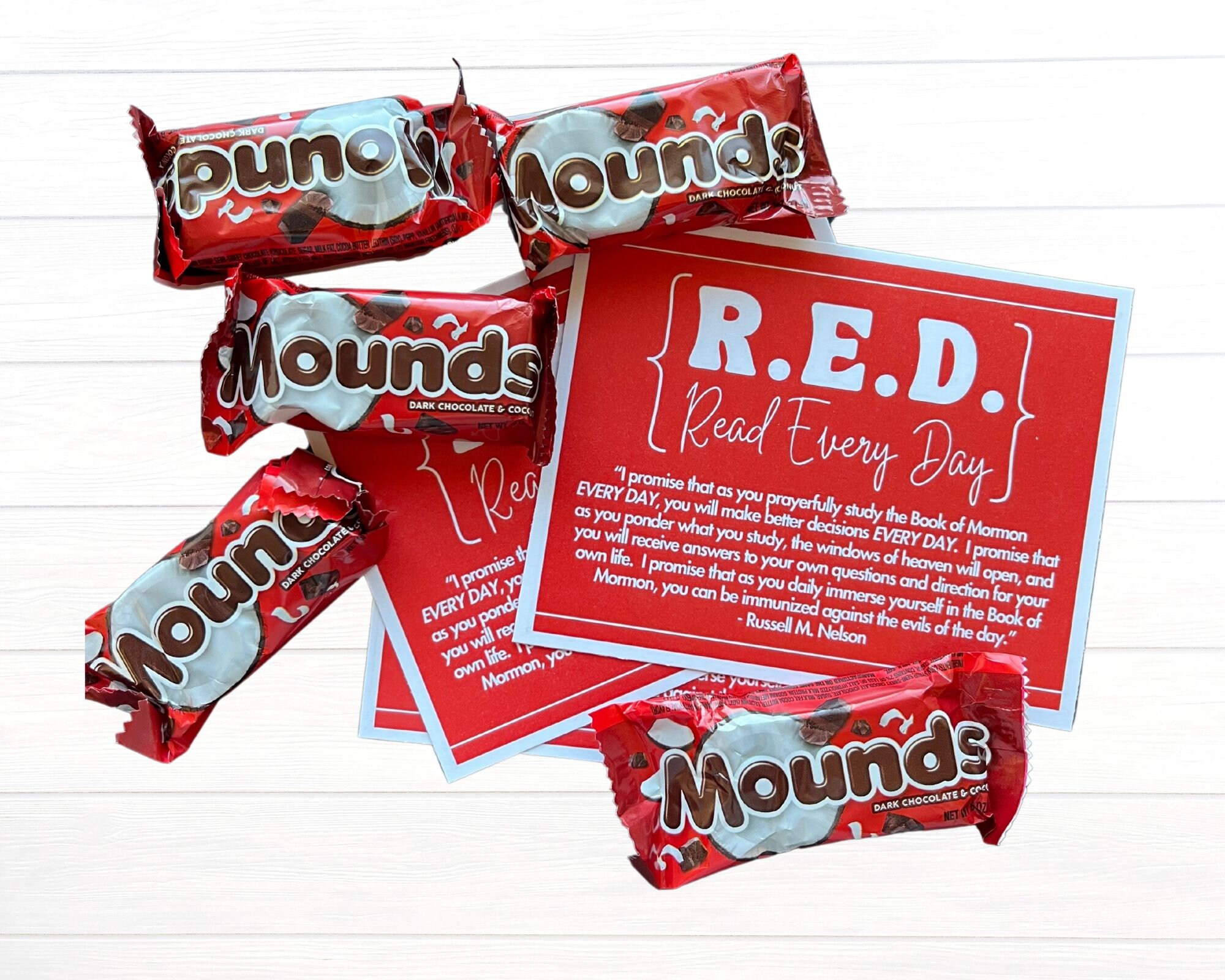 INSTANT DOWNLOAD RED Tags Read Every Day Book of Mormon Scriptures ...