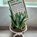 INSTANT DOWNLOAD Teacher Appreciation Printables Cactus Plant - Etsy