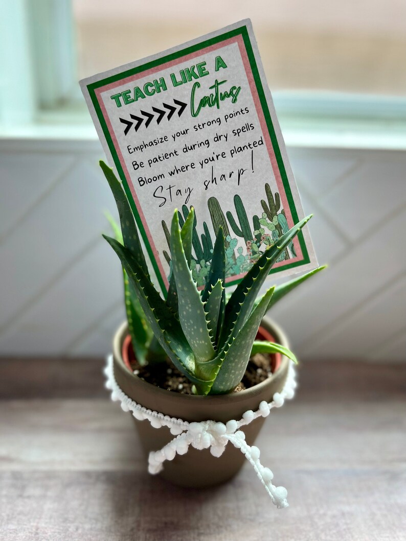 INSTANT DOWNLOAD Teacher Appreciation Printables Cactus Plant - Etsy