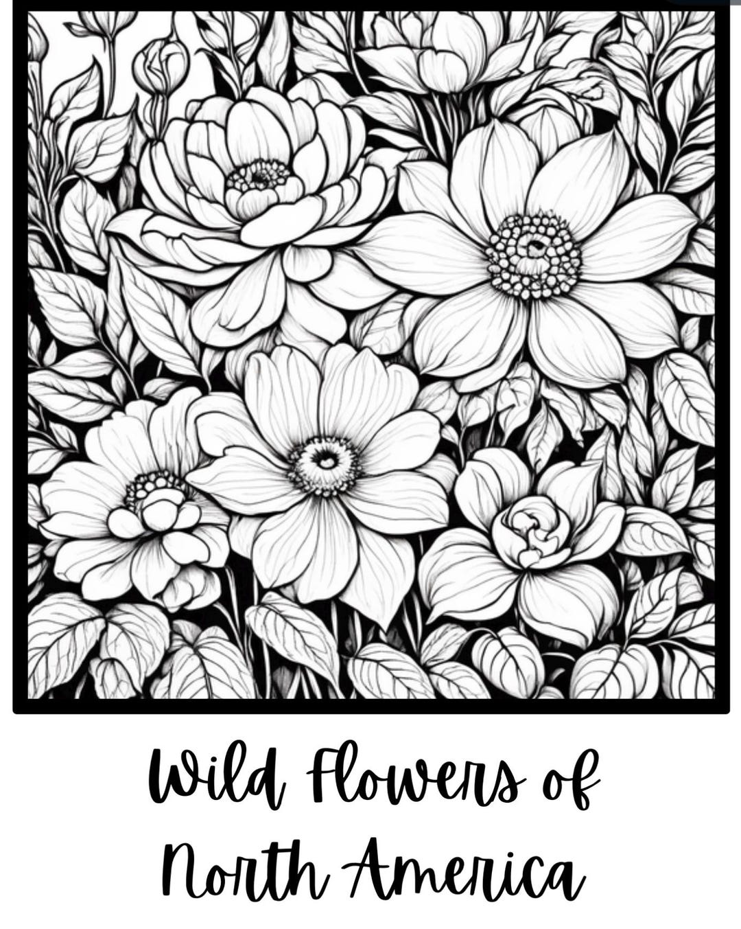 Coloring Book for Adults North American Wild Flowers mini Version - Etsy