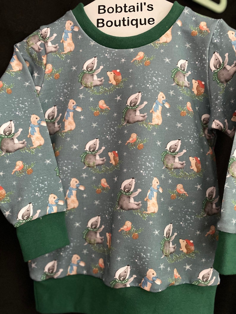 Badger and Friends Jumper Colourful Kids Pullover Badger and - Etsy