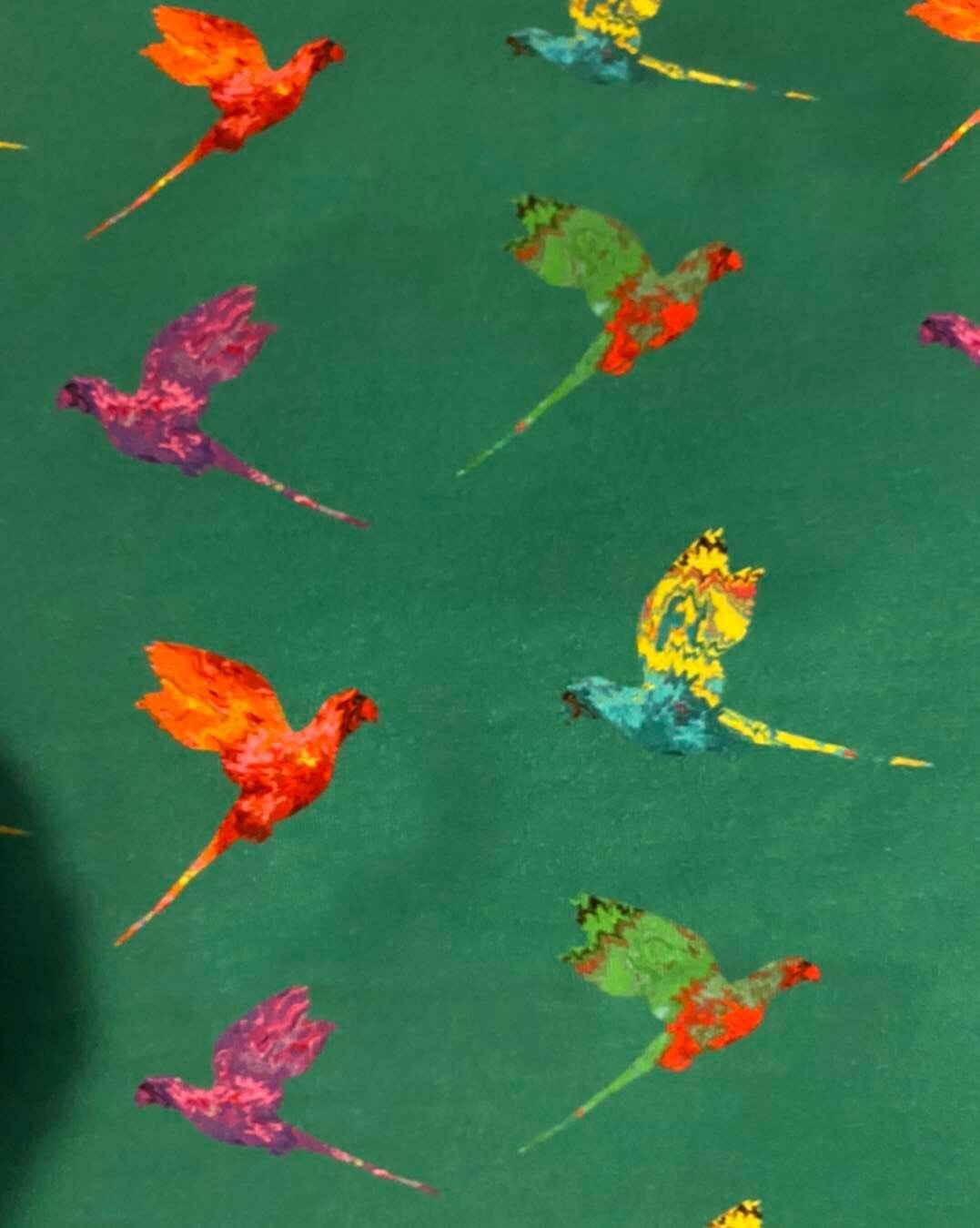 Rainbow Parrots Knee Length Shorts, Unisex Shorts, Summer Clothes ...
