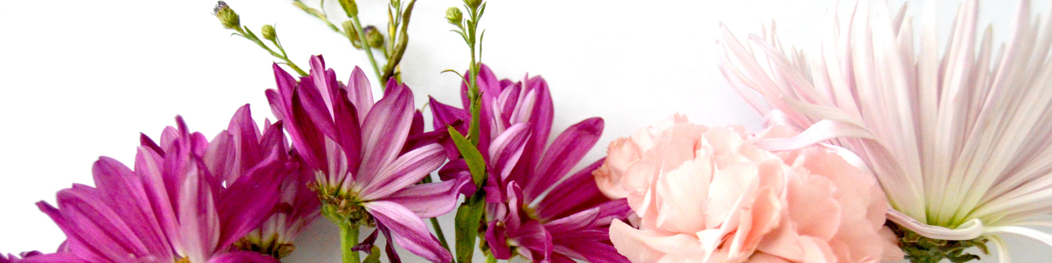 mysomedayinMay - Etsy