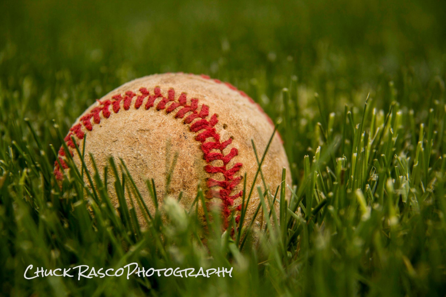 Photo Art - Sports Photography - Baseball - Etsy