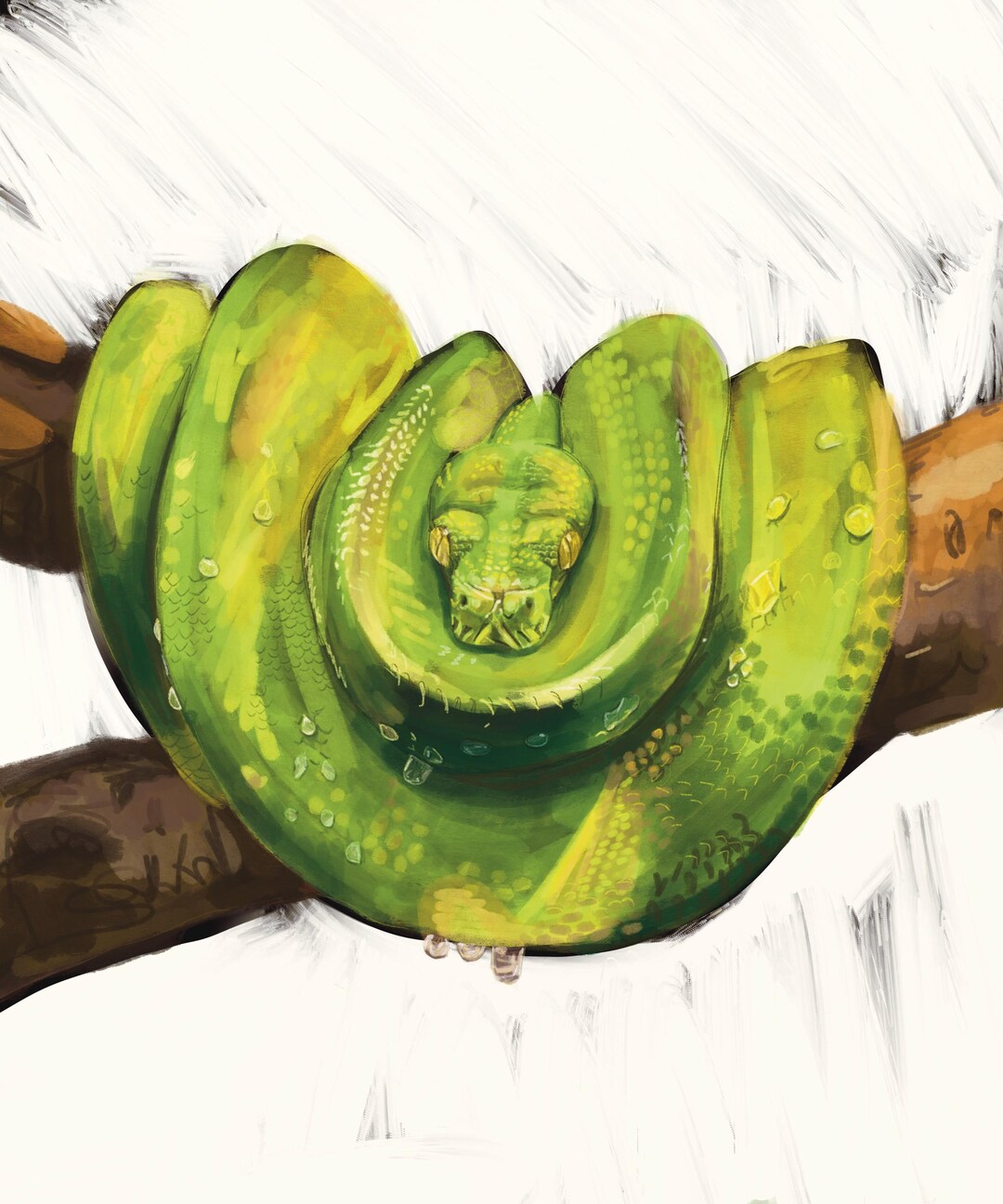 Sir Hiss Green Tree Snake Fine Art Print - Etsy