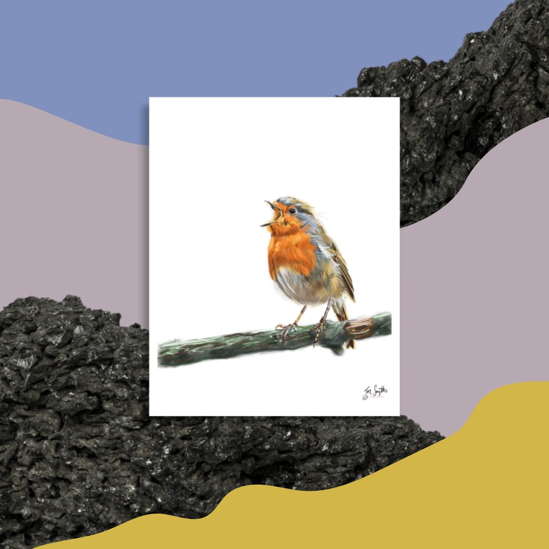 Red Robin Bird Art Print - Etsy