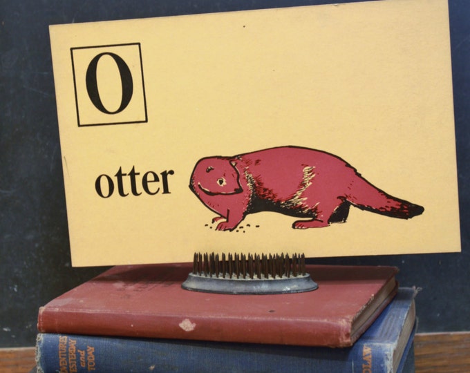 Vintage Large Picture Phonics Flash Card Letter O Otter Mother Baby ...