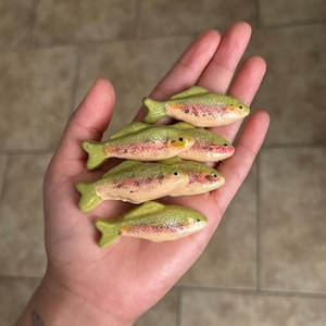 Trout Fish Magnet Set (2)| Fish Magnets | Fridge Magnets | Clay Magnets ...