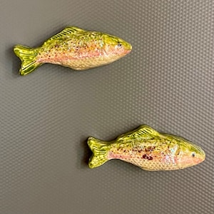 Trout Fish Magnet Set (2)| Fish Magnets | Fridge Magnets | Clay Magnets ...