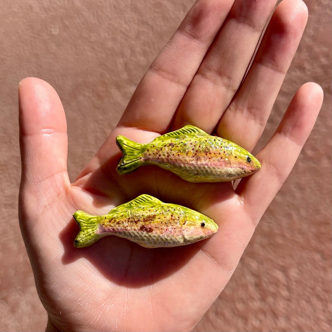 Trout Fish Magnet Set 2 Fish Magnets Fridge Magnets Clay Magnets ...