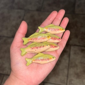 Trout Fish Magnet Set (2)| Fish Magnets | Fridge Magnets | Clay Magnets ...