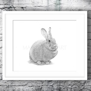 Rabbit Art Print Hand Drawn Animal Pencil Drawing A4 / A5 | Etsy