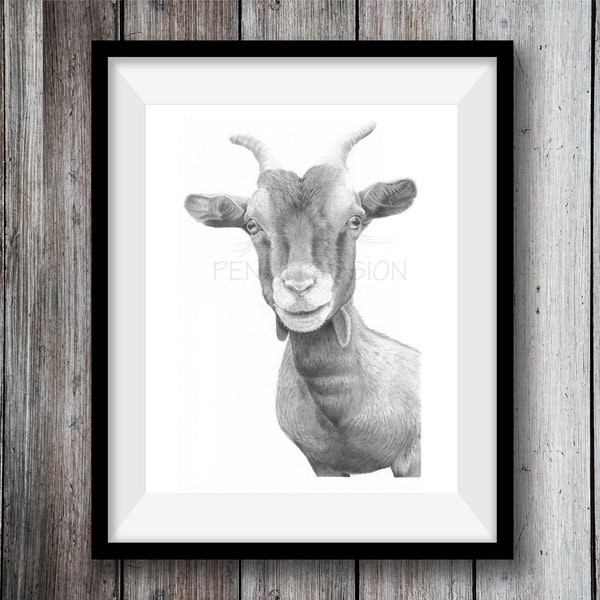 Pygmy Goat Drawings - Etsy