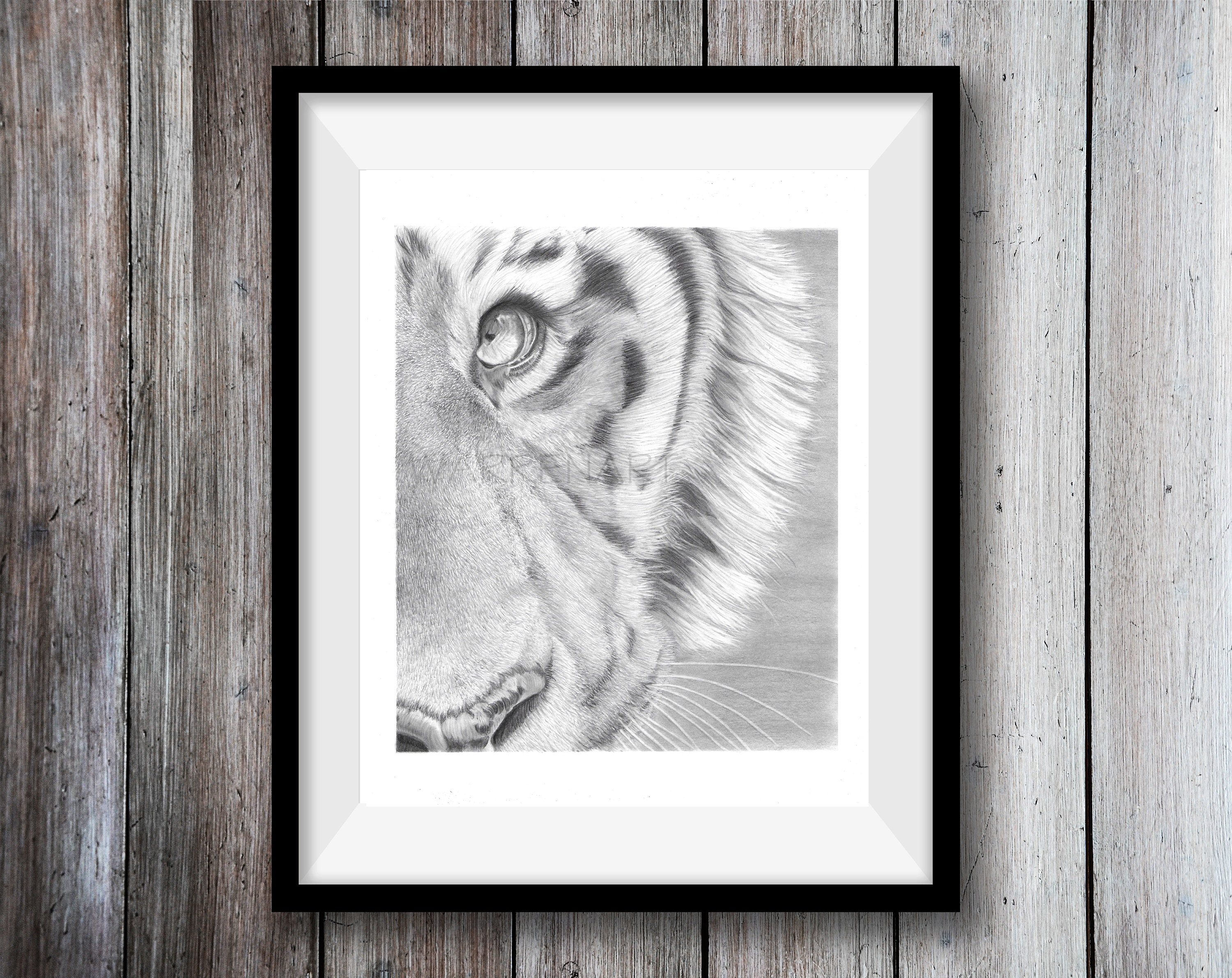 Tiger Art Print - Hand Drawn Animal Pencil Drawing A4 / A5 Sizes Giclee ...