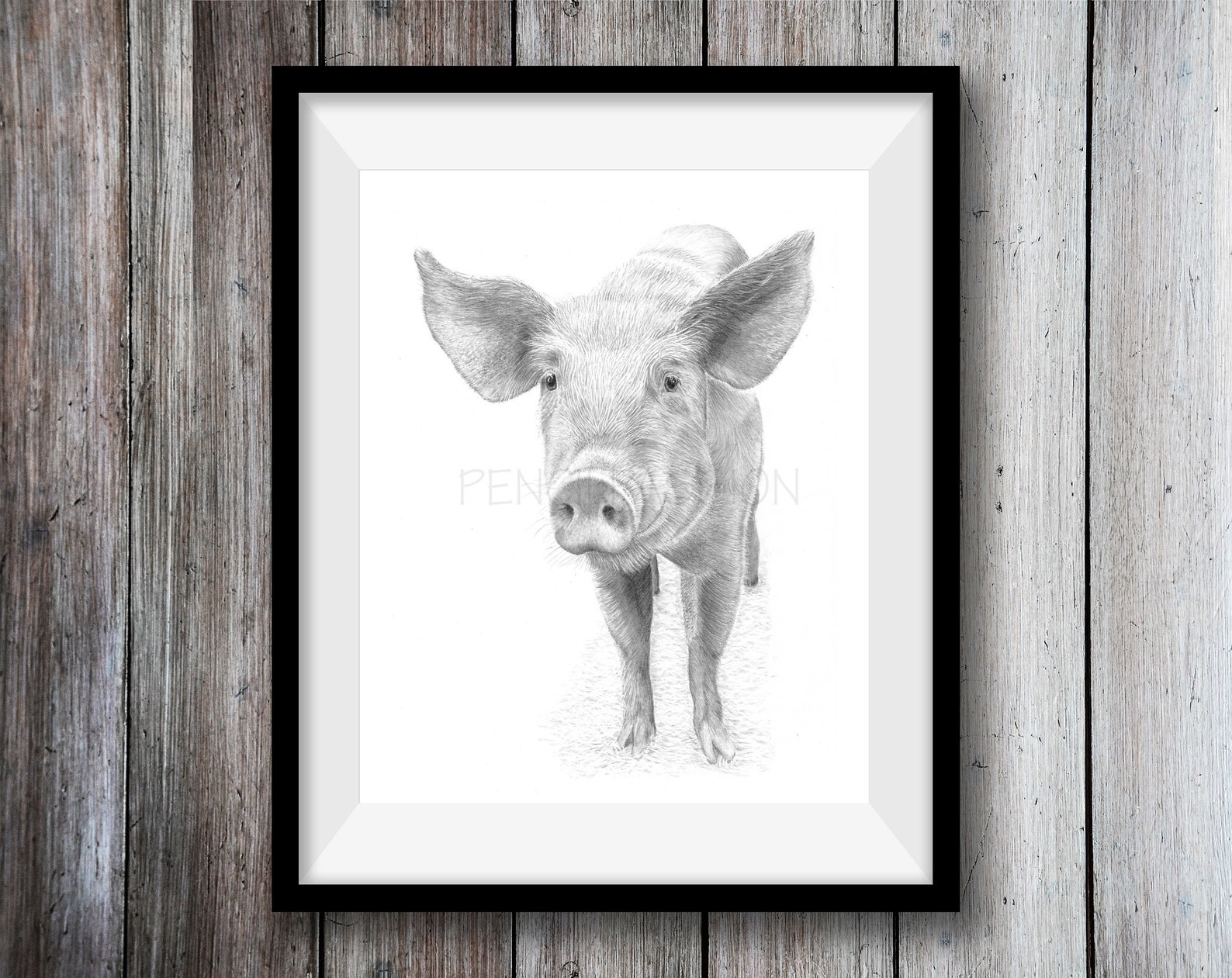 Pig Art Print Hand Drawn Animal Pencil Drawing A4 / A5 - Etsy