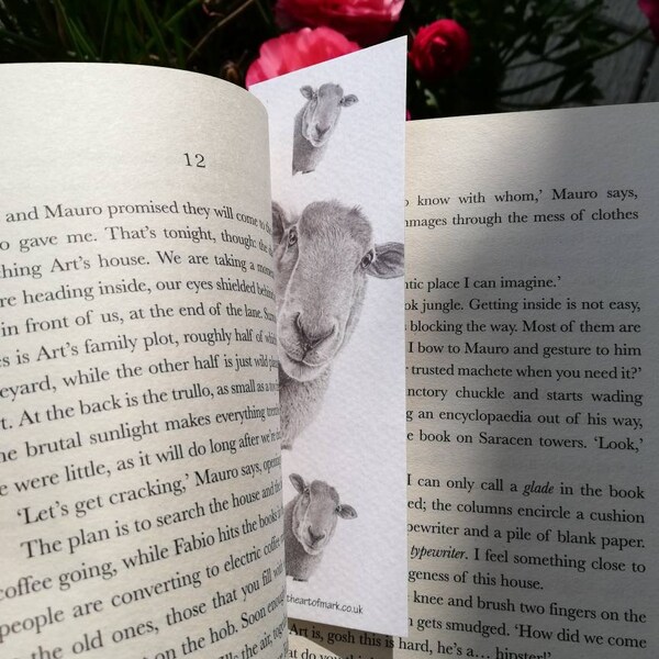 Sheep Illustration - Etsy