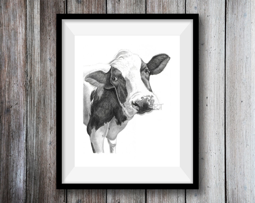 Cow Art Print - Hand Drawn Animal Pencil Drawing A4 / A5 Nature ...