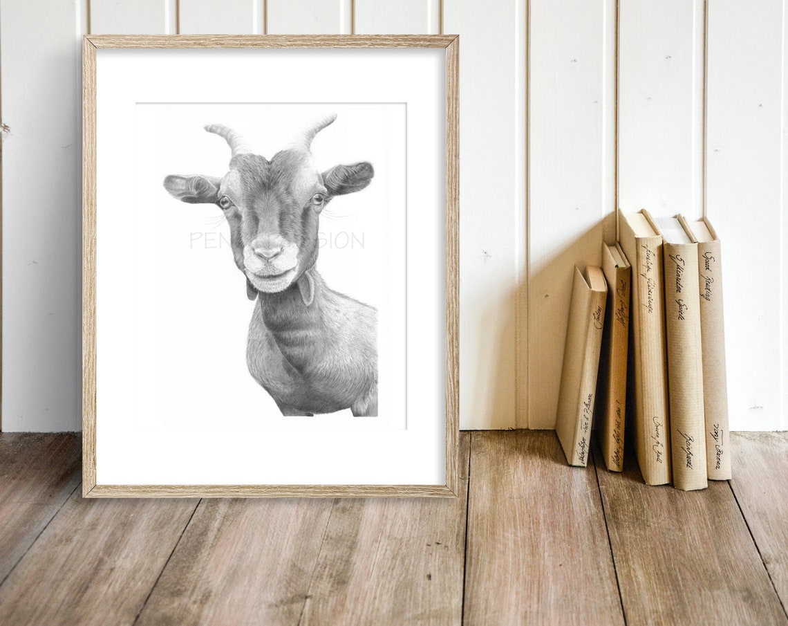 Pygmy Goat Art Print Hand Drawn Animal Pencil Drawing A4 / - Etsy