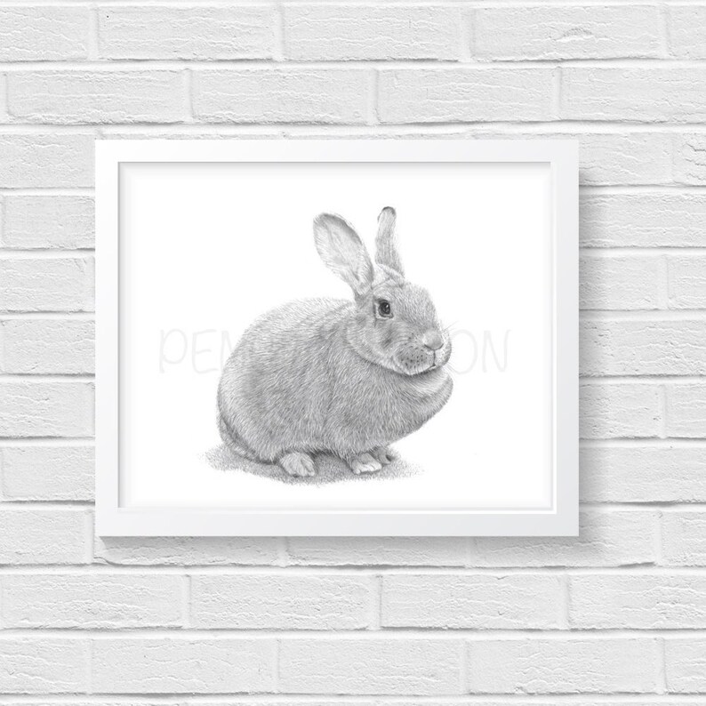Rabbit Art Print Hand Drawn Animal Pencil Drawing A4 / A5 - Etsy