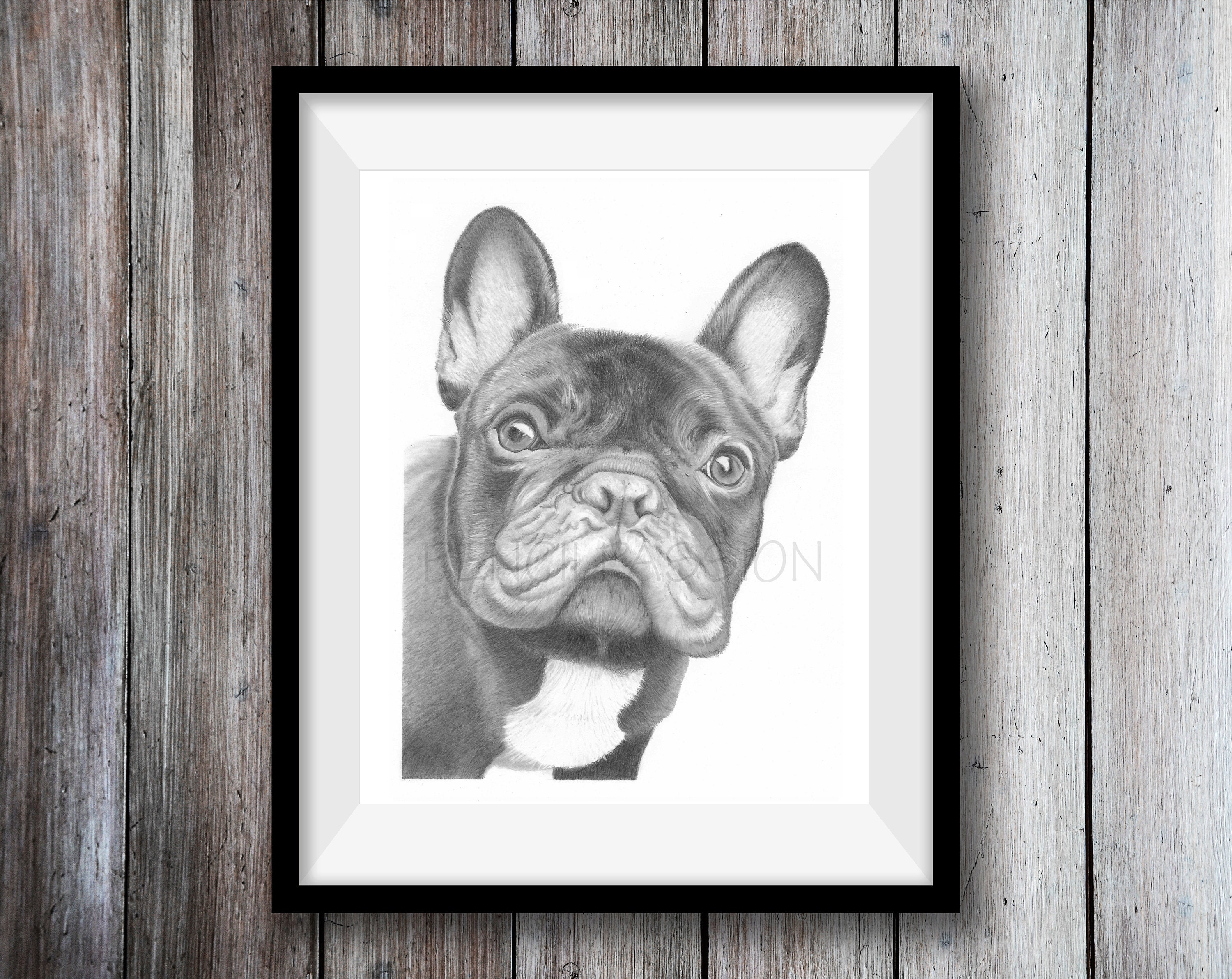 French Bulldog (frenchie) Art Print - Hand Drawn Animal Pencil Drawing ...