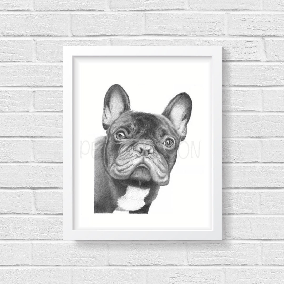 French Bulldog (frenchie) Art Print - Hand Drawn Animal Pencil Drawing ...