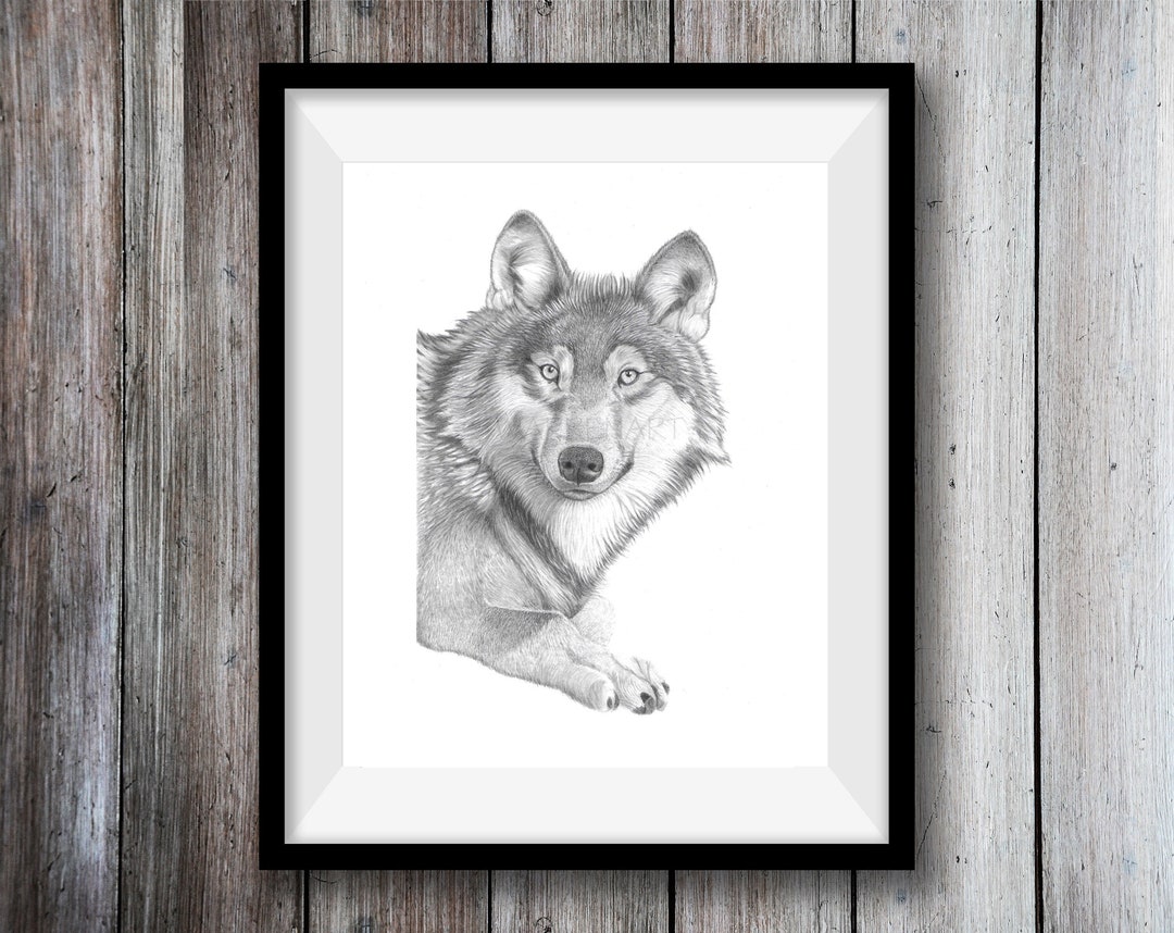 Wolf Art Print - Hand Drawn Animal Pencil Drawing A4 / A5 Sizes Giclee ...