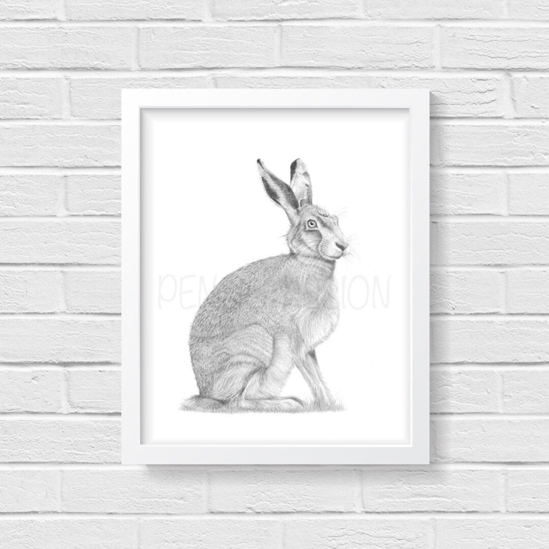 Hare Art Print - Hand Drawn Animal Pencil Drawing Illustration A4 / A5 ...