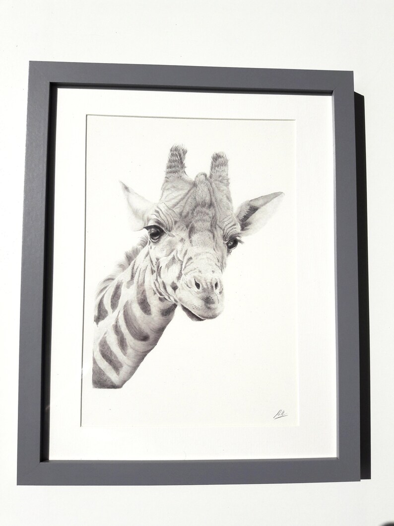 Giraffe Art Print Hand Drawn Animal Pencil Drawing A4 / A5 | Etsy