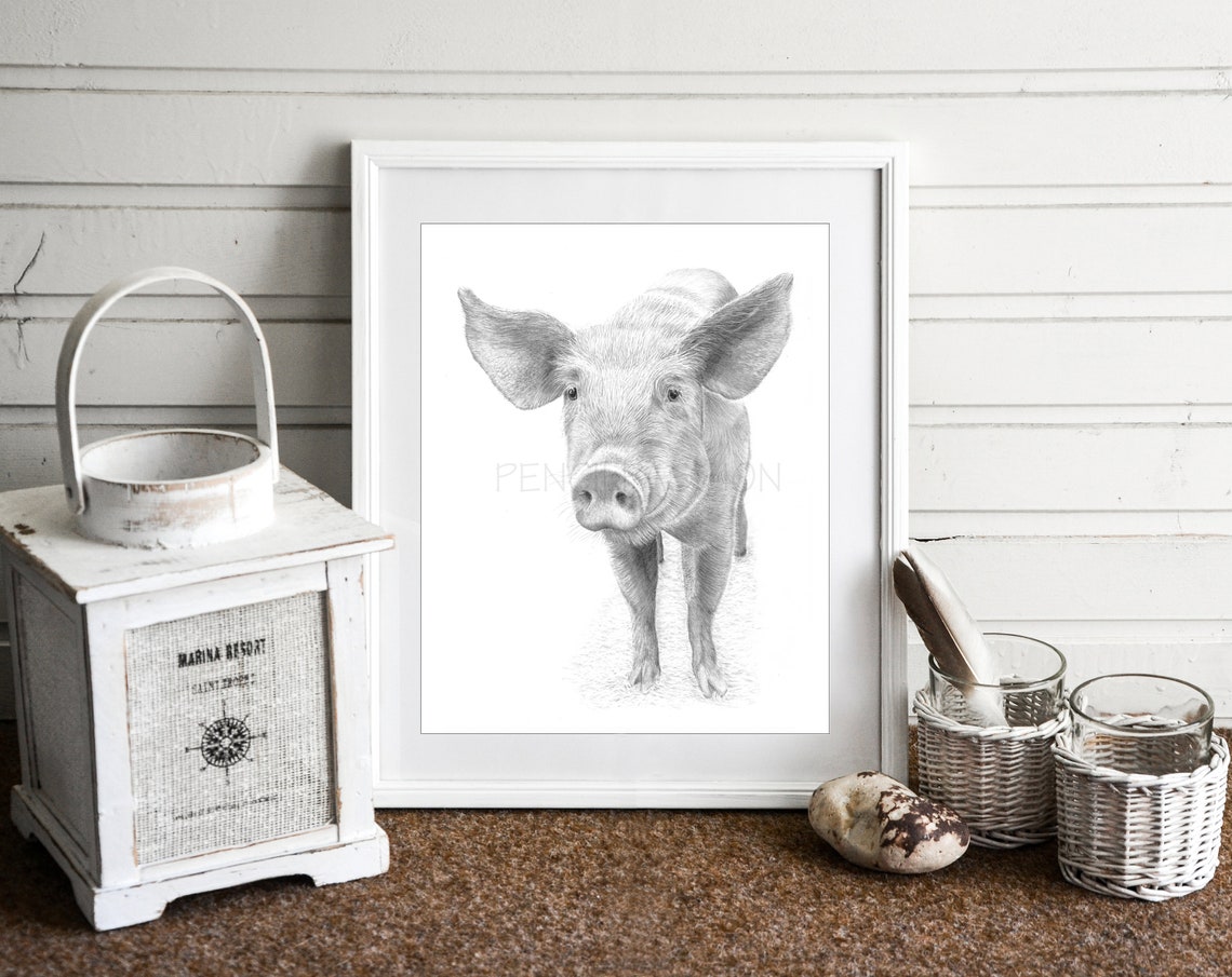 Pig Art Print Hand Drawn Animal Pencil Drawing A4 / A5 - Etsy