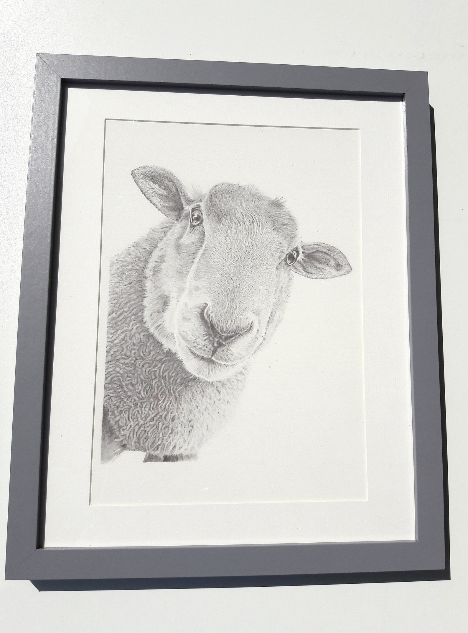 Sheep Art Print Hand Drawn Animal Pencil Drawing A4 / A5 - Etsy