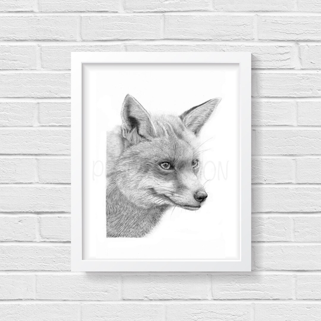Red Fox Art Print - Hand Drawn Animal Pencil Drawing A4 / A5 Sizes ...
