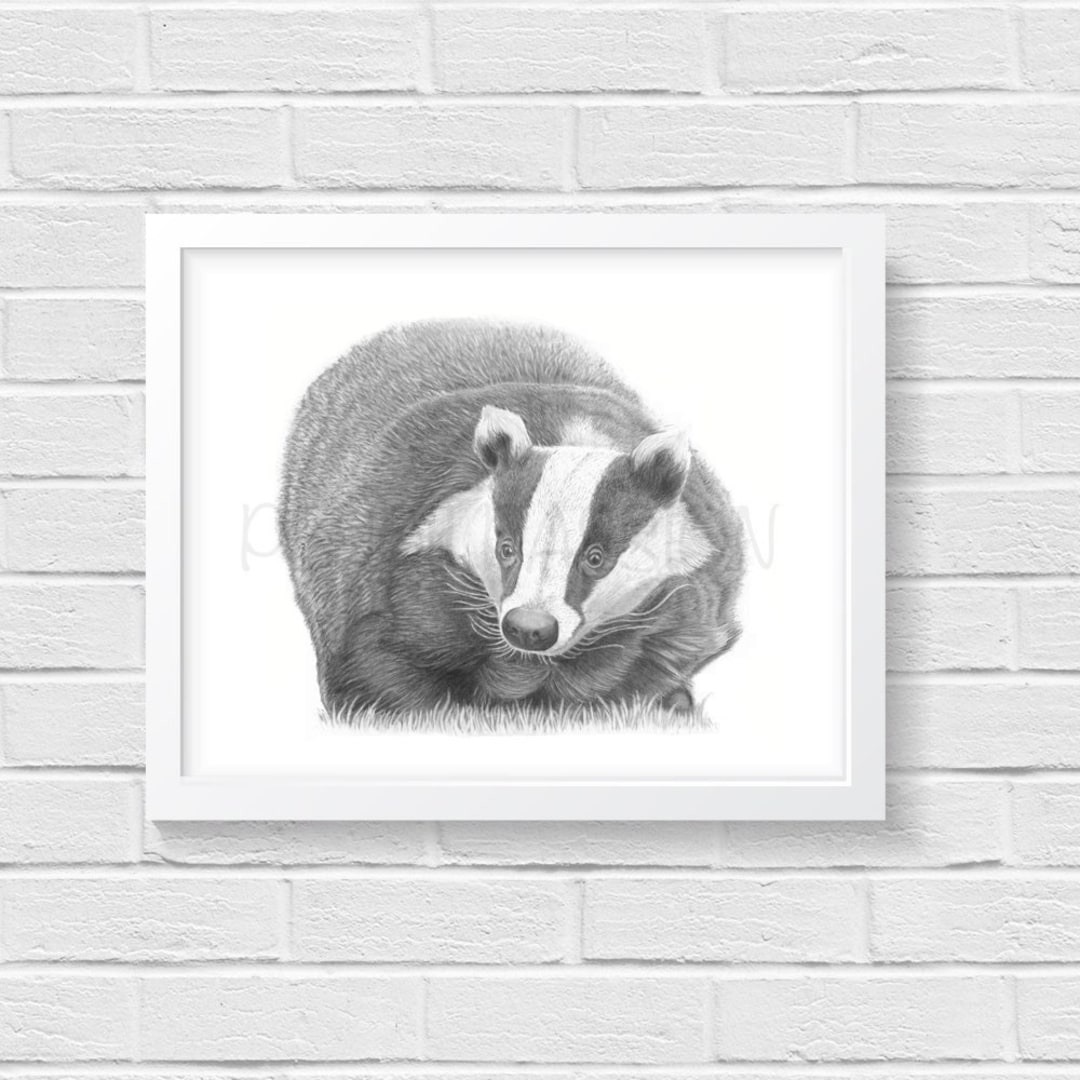Badger Art Print Hand Drawn Animal Pencil Drawing A4 / A5 Nature ...