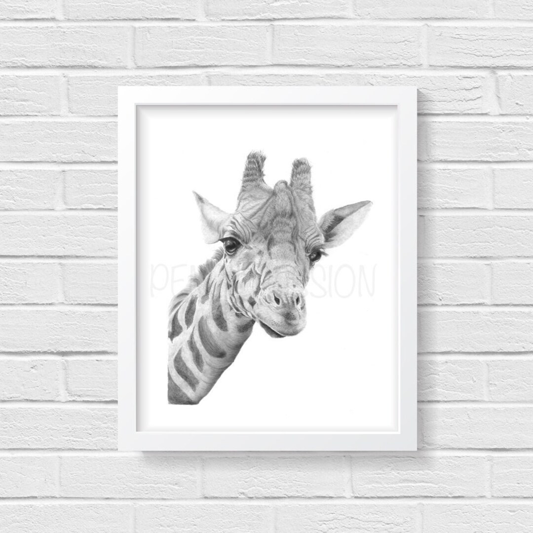 Giraffe Art Print - Hand Drawn Animal Pencil Drawing A4 / A5 Sizes ...