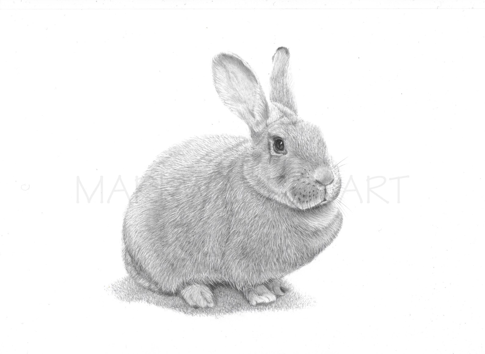 Rabbit Drawing Digital Art Print Downloadable Hand Drawn | Etsy