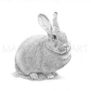 Rabbit Drawing Digital Art Print Downloadable Hand Drawn | Etsy
