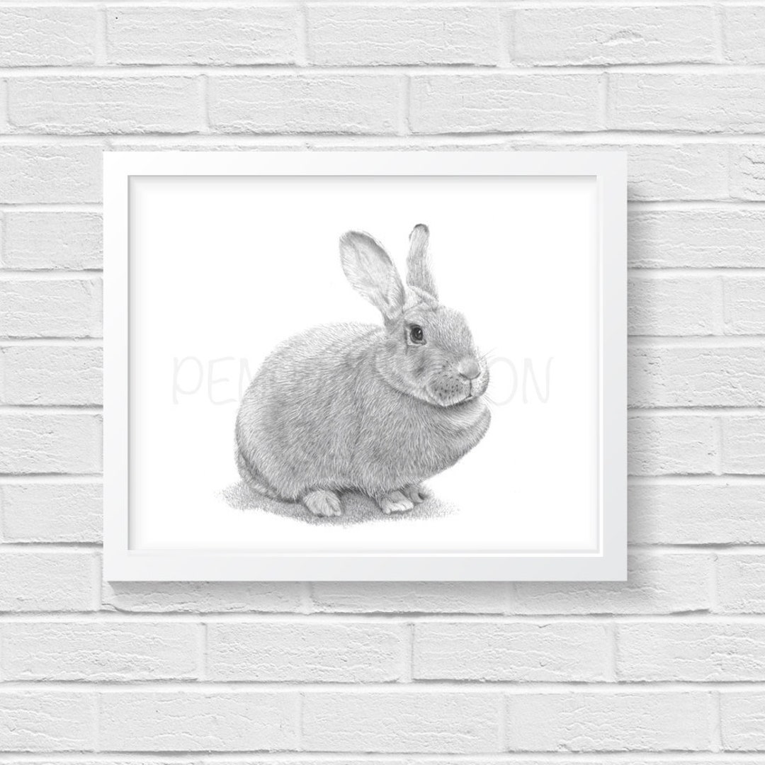Rabbit Drawing Digital Art Print Downloadable - Hand Drawn Animal ...