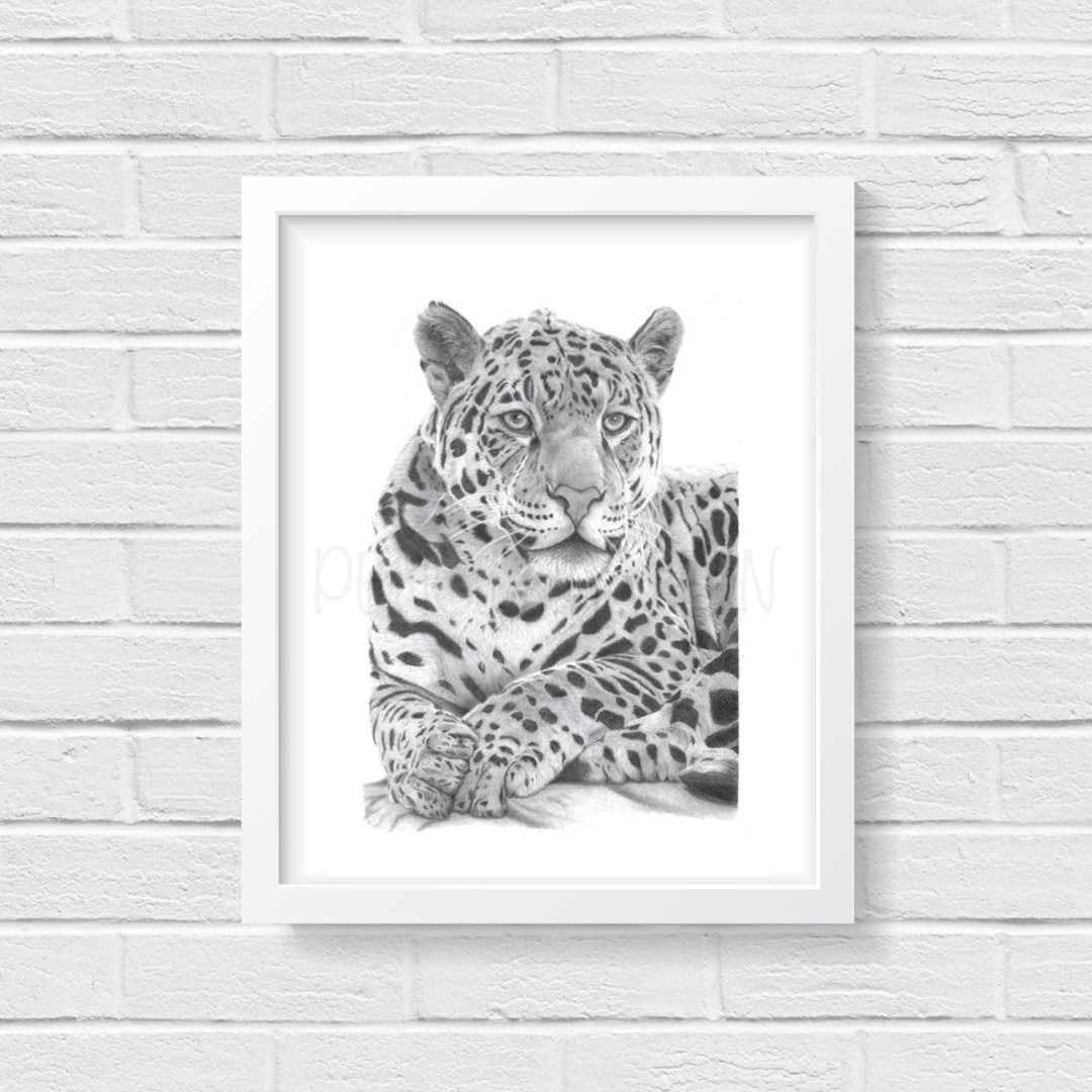 Jaguar Art Print Hand Drawn Animal Pencil Drawing A4 / A5 Nature ...